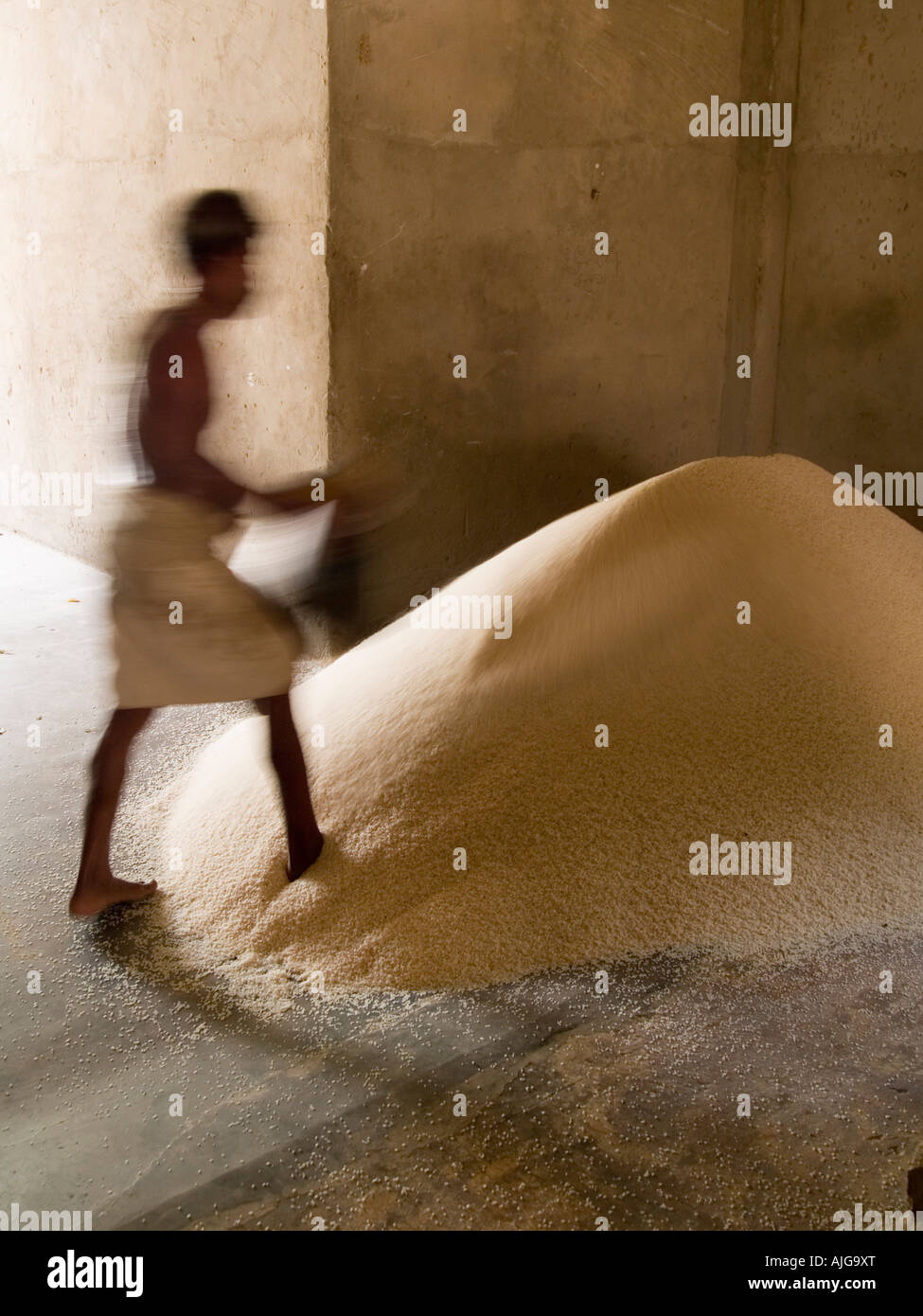 Rice mill worker hi-res stock photography and images - Alamy