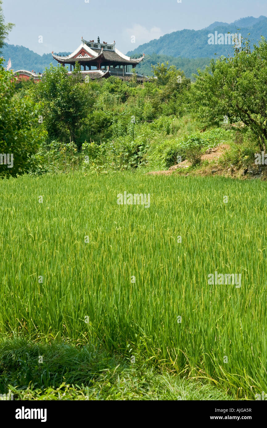 Ancient Buddhist Village Temple and Rice Fields Likeng Wuyuan County ...