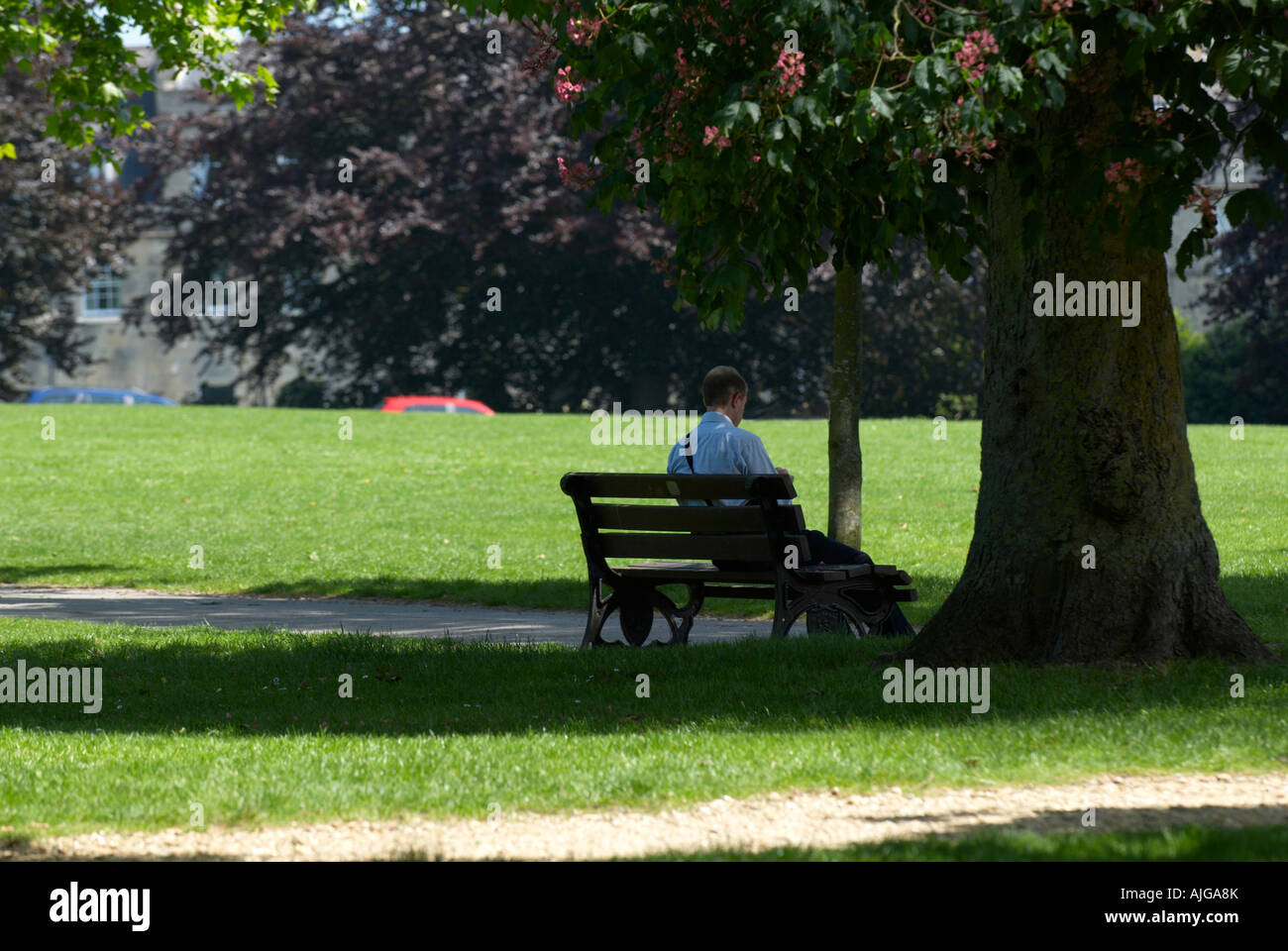 Man sitting under shade tree hi-res stock photography and images - Alamy