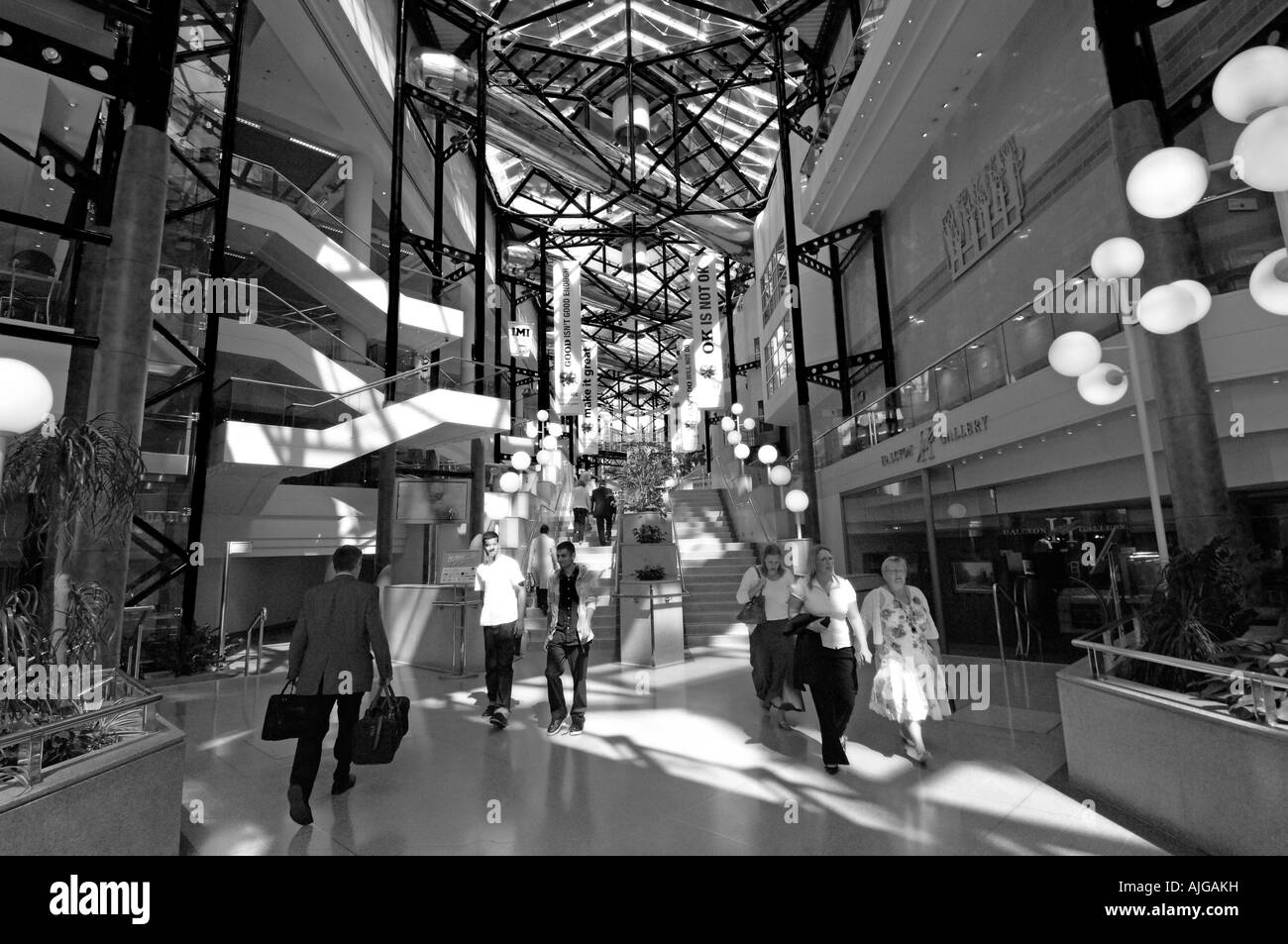Halcyon gallery hi-res stock photography and images - Alamy