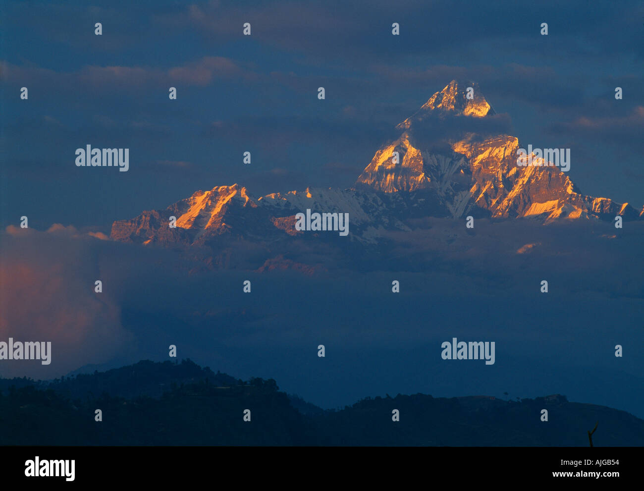 Machhapuchhare Fishtail sacred mountaiin Annapurna Himalaya Nepal Stock ...