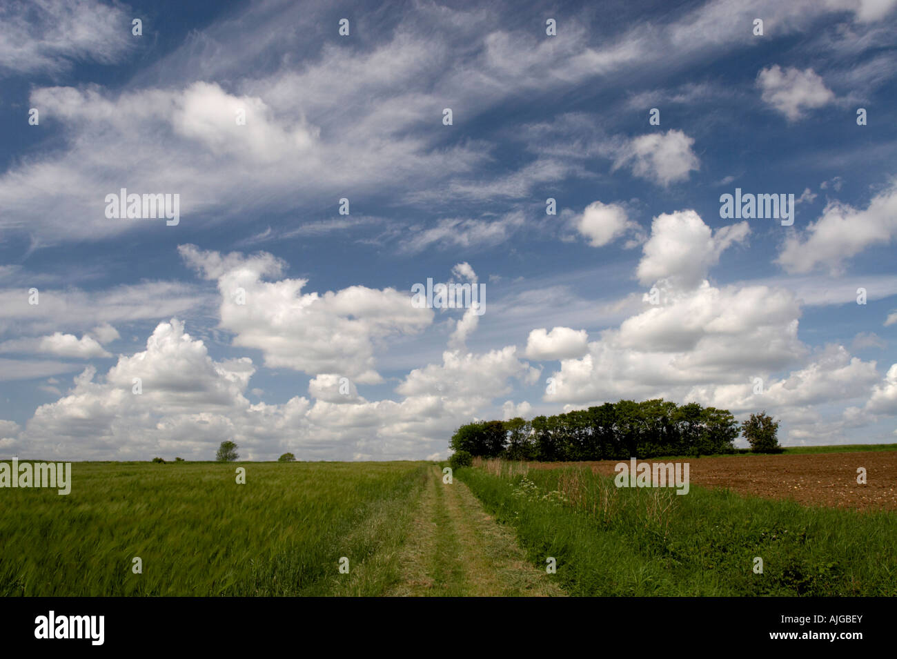 Angles Way footpath Stock Photo - Alamy