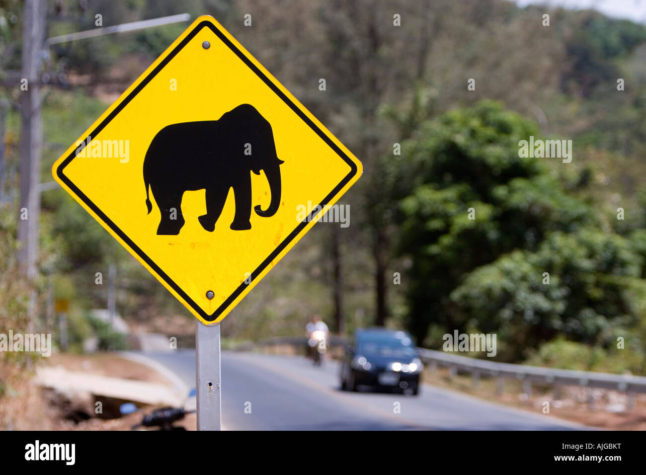 Yellow diamond shape road side elephant warning sign Phuket Thailand ...