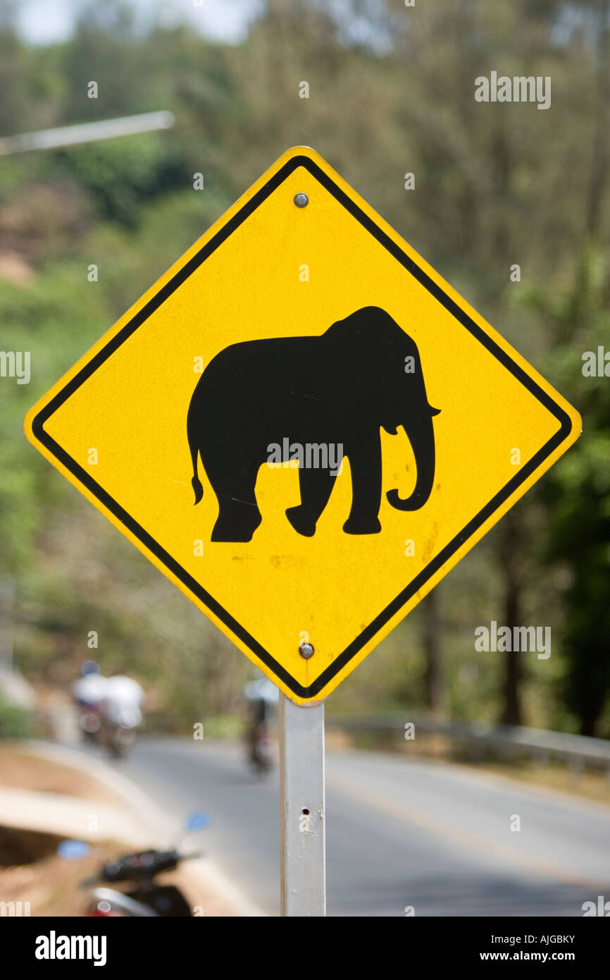 Beware of elephants hi-res stock photography and images - Alamy