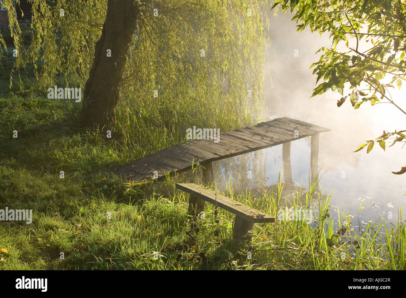 Old fishing platform under trees in soft sunrise light Stock Photo - Alamy