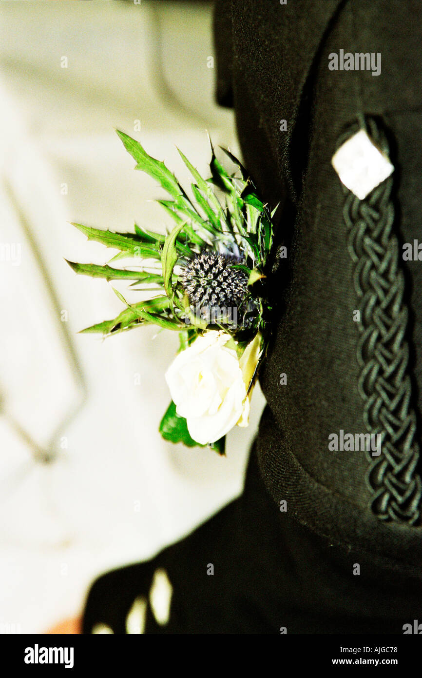 Abstract of thistle on Scottish groom Stock Photo - Alamy