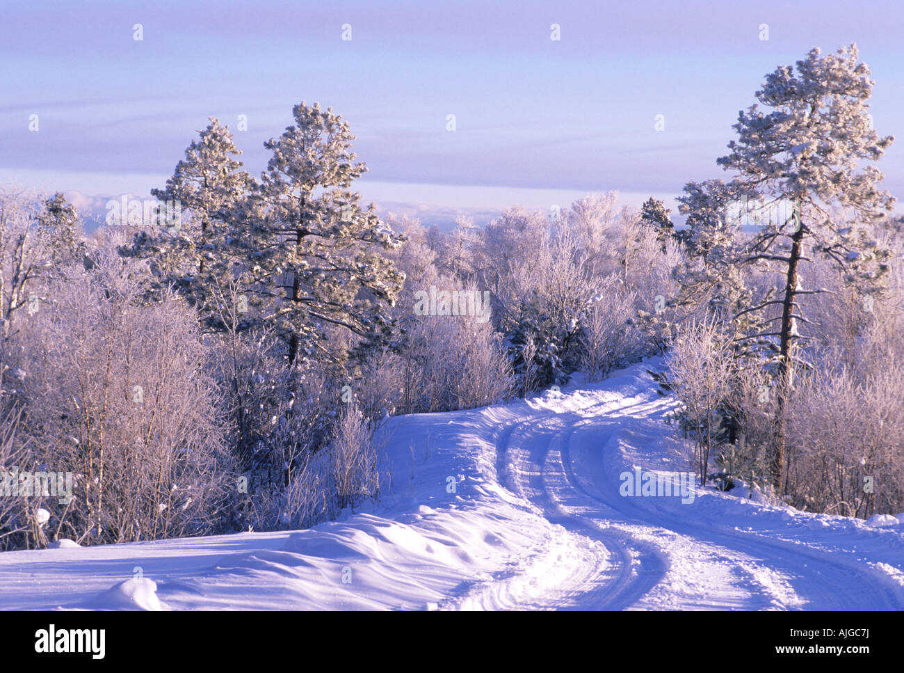 A rural road after a winter snowfall Stock Photo - Alamy