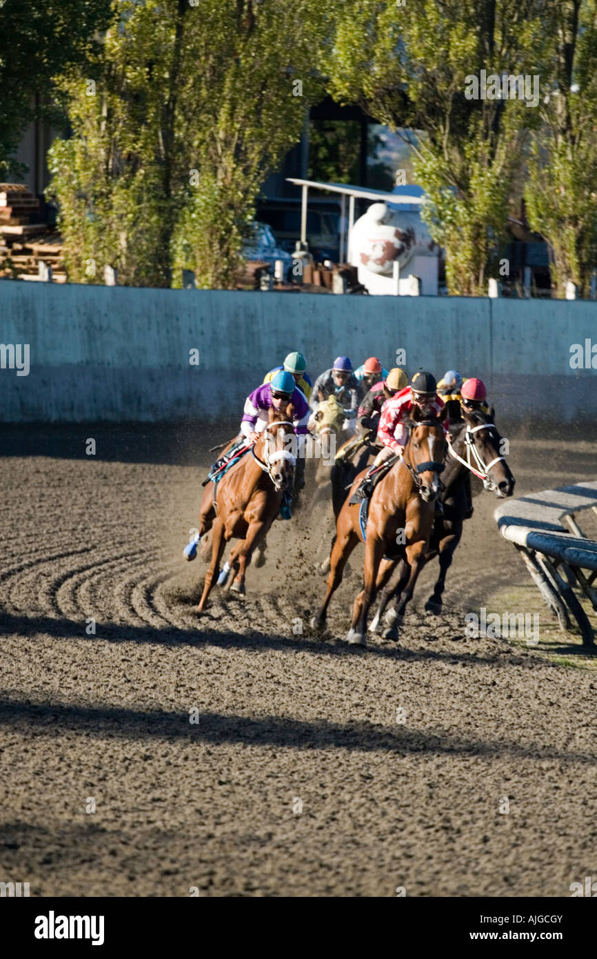 Horseracing at Hastings Racecourse, Vancouver, BC Stock Photo - Alamy