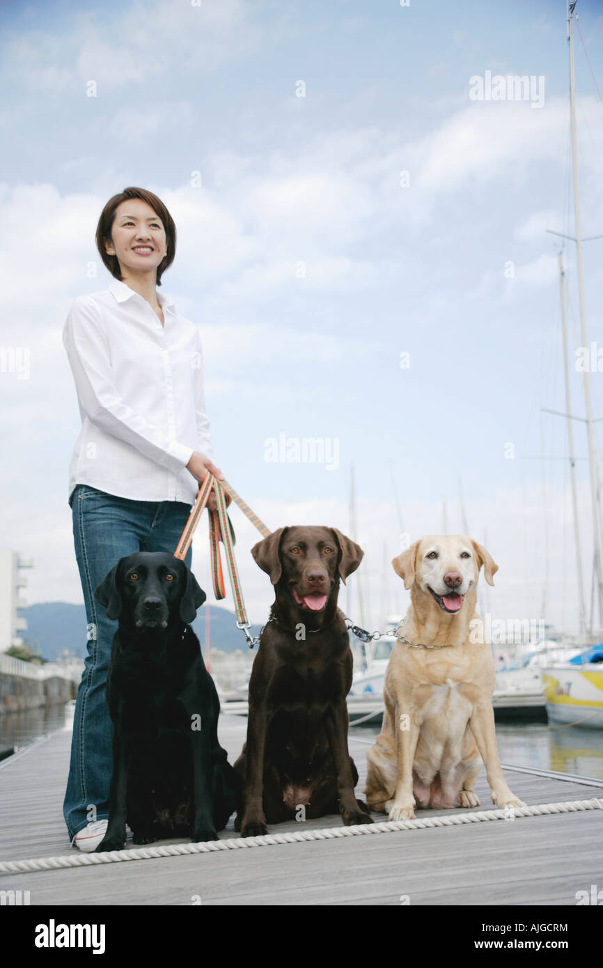 Young woman and Labrador retrievers Stock Photo - Alamy