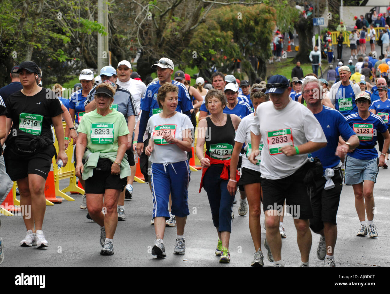 October 2007 Auckland Marathon 5km walk, New Zealand Stock Photo - Alamy