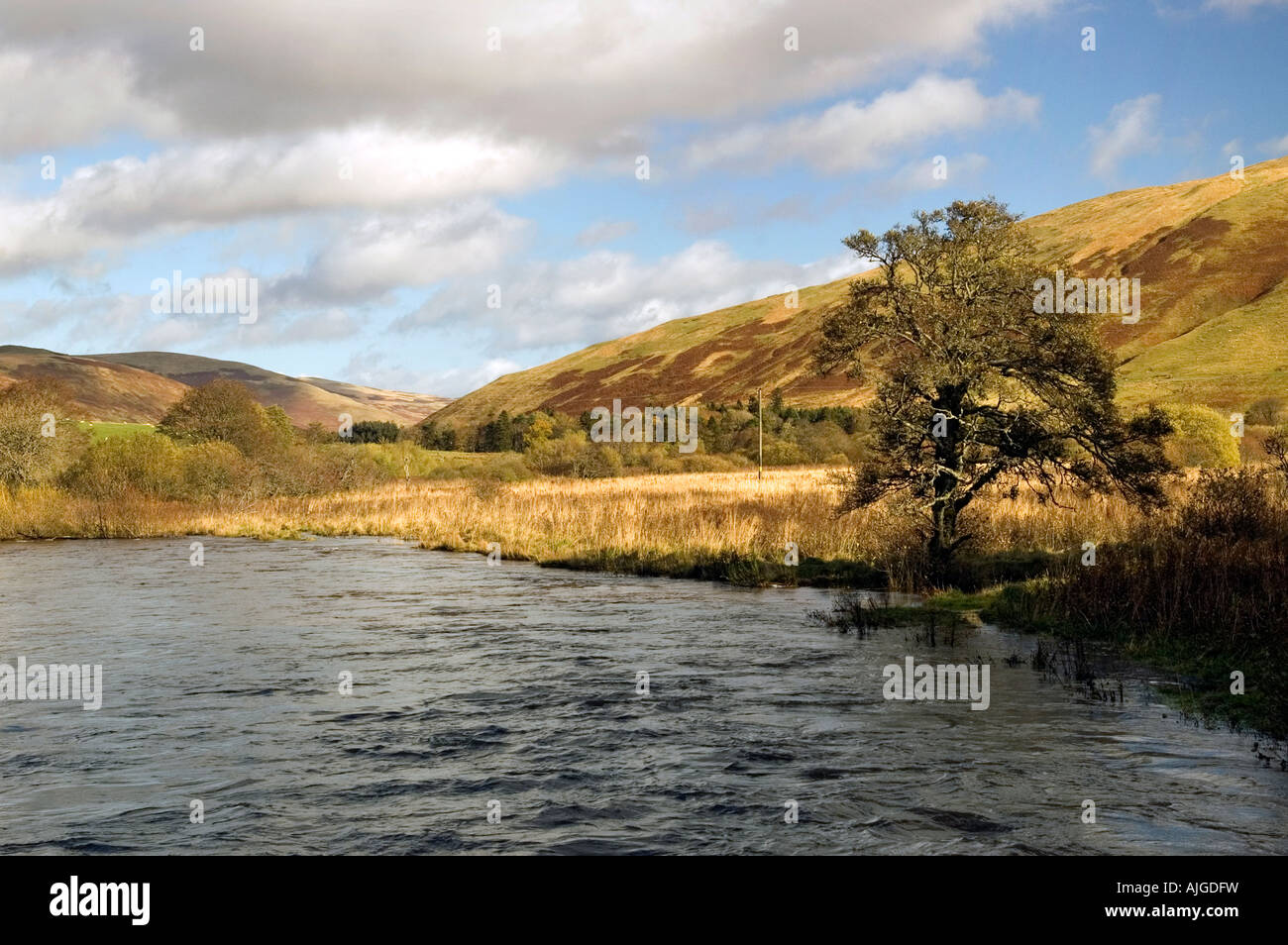 Ettrick valley hi-res stock photography and images - Alamy