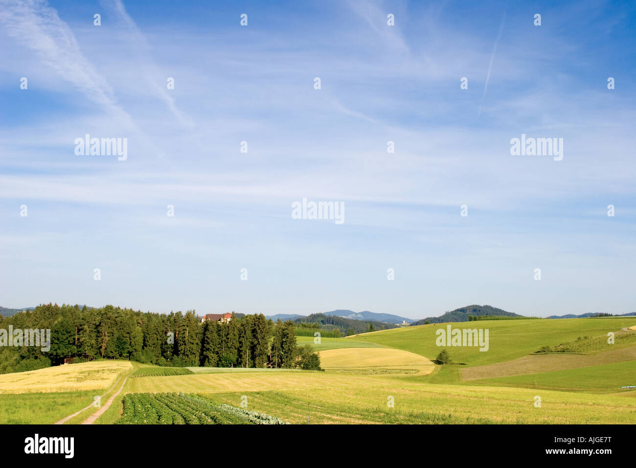 Rolling landscape, light wispy clouds on a blue sky Stock Photo - Alamy
