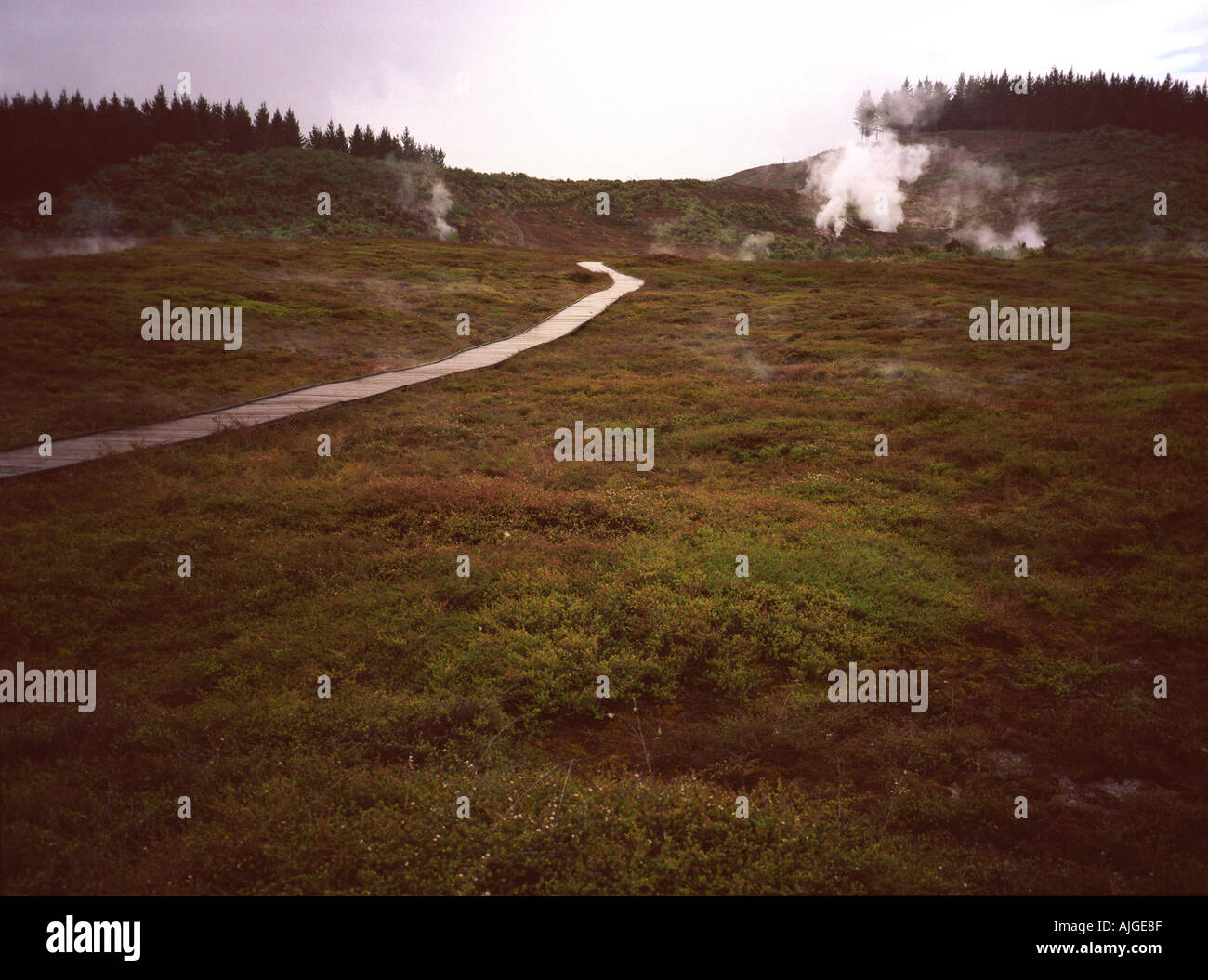 path leading through volcanic region with steam rising from the ground ...