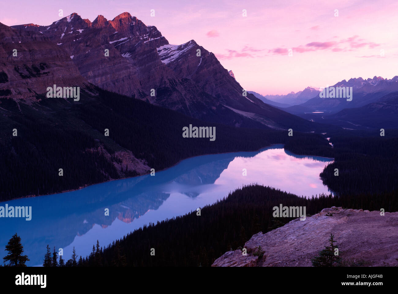 Peyto Lake, Banff National Park, Canada Stock Photo - Alamy