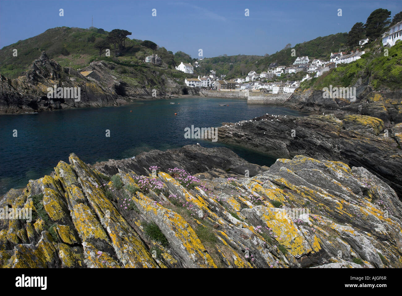 View of Polperro Harbour from West Cliffs Stock Photo - Alamy