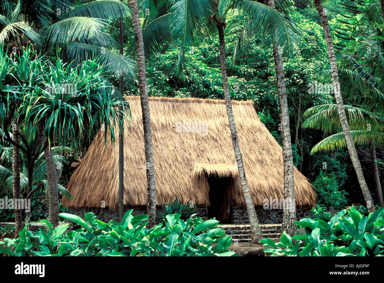 Hawaiian hale with heliconia growing in the foreground at Kepaniwai ...