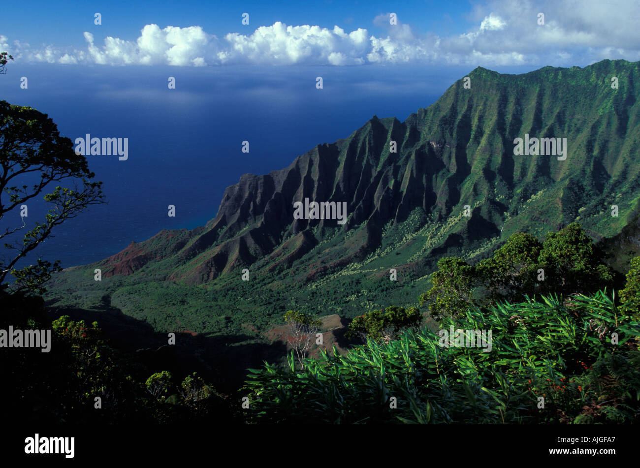 Pacific lookout hi-res stock photography and images - Alamy