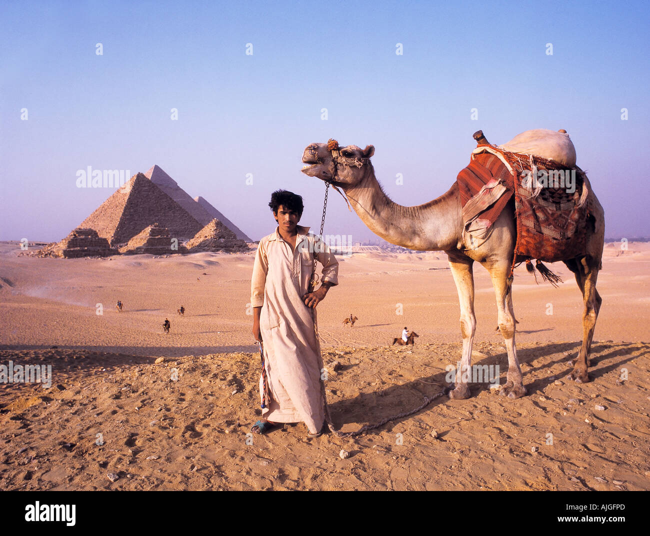 Laughing camel hi-res stock photography and images - Alamy