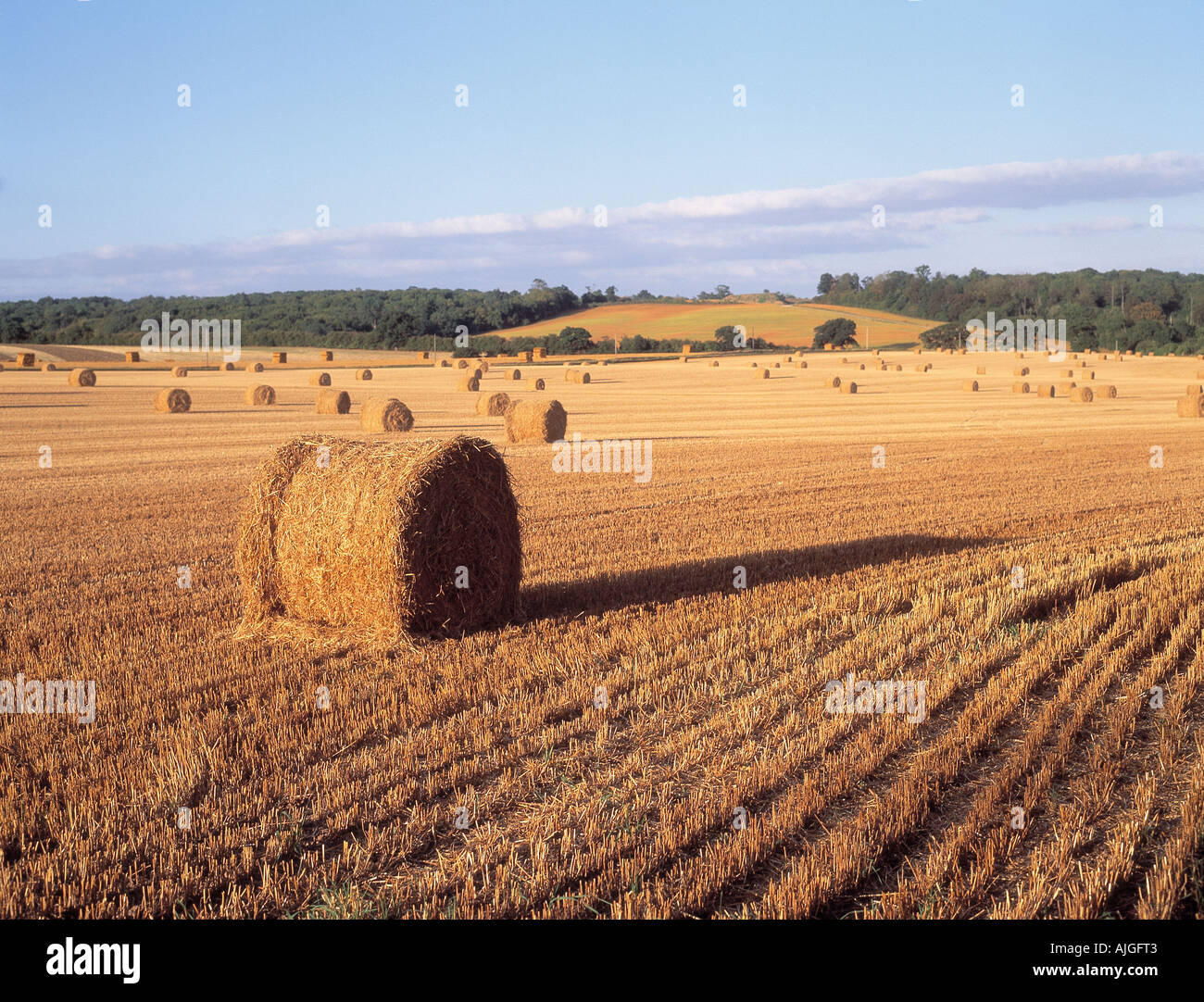Bail Hay Straw Agriculture High Resolution Stock Photography and Images ...