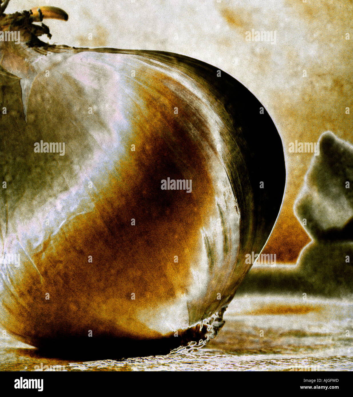 Onion form hi-res stock photography and images - Alamy