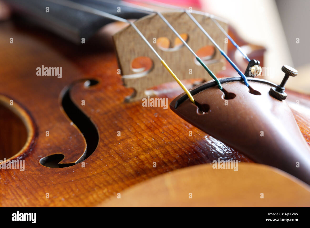 Body of violine hi-res stock photography and images - Alamy