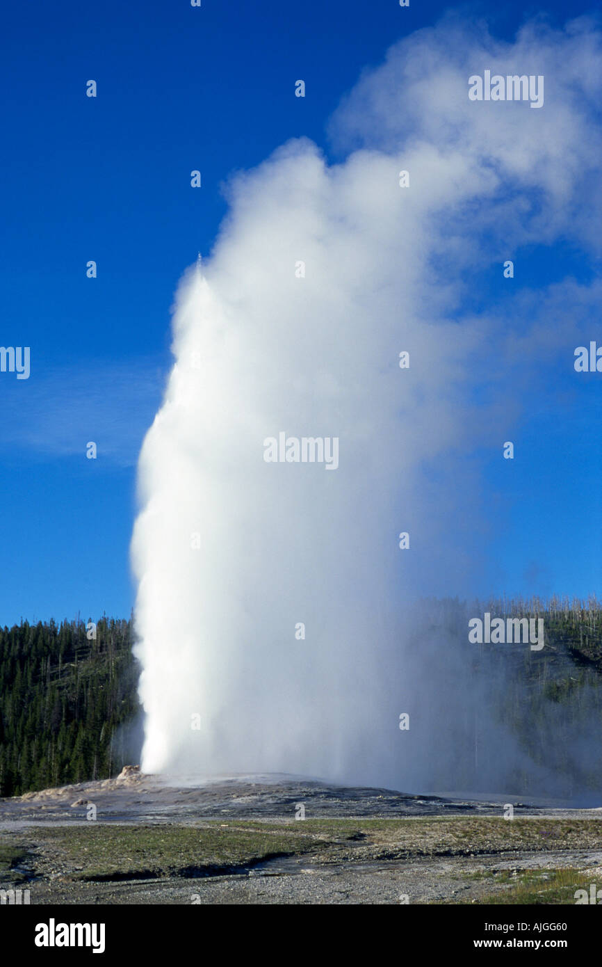 Old Faithful Geyser erupts regularly with hot water and steam in ...