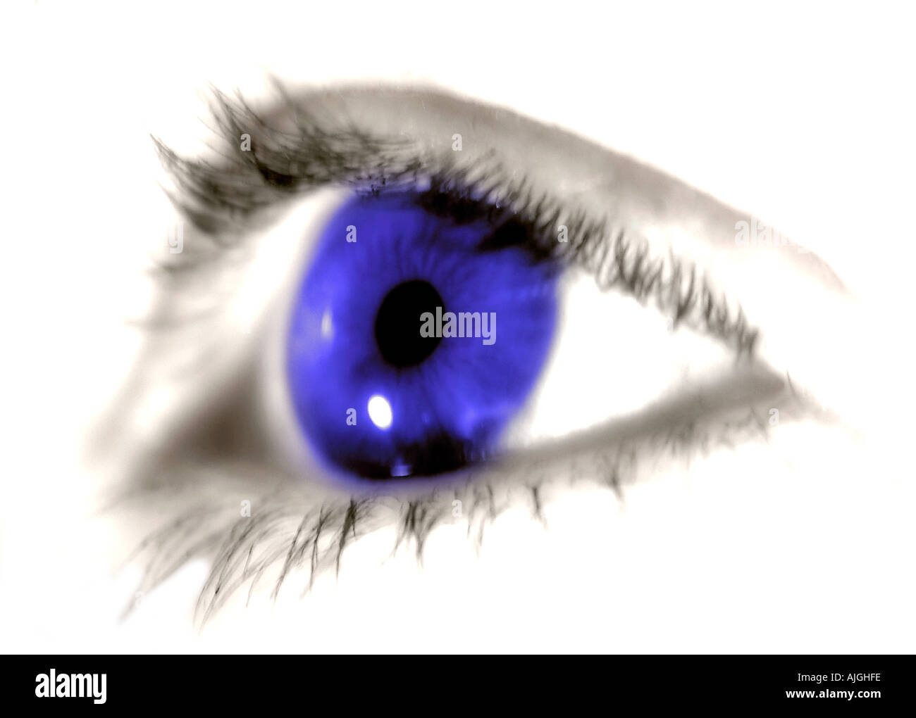 detail of eye ball with blue retina Stock Photo - Alamy