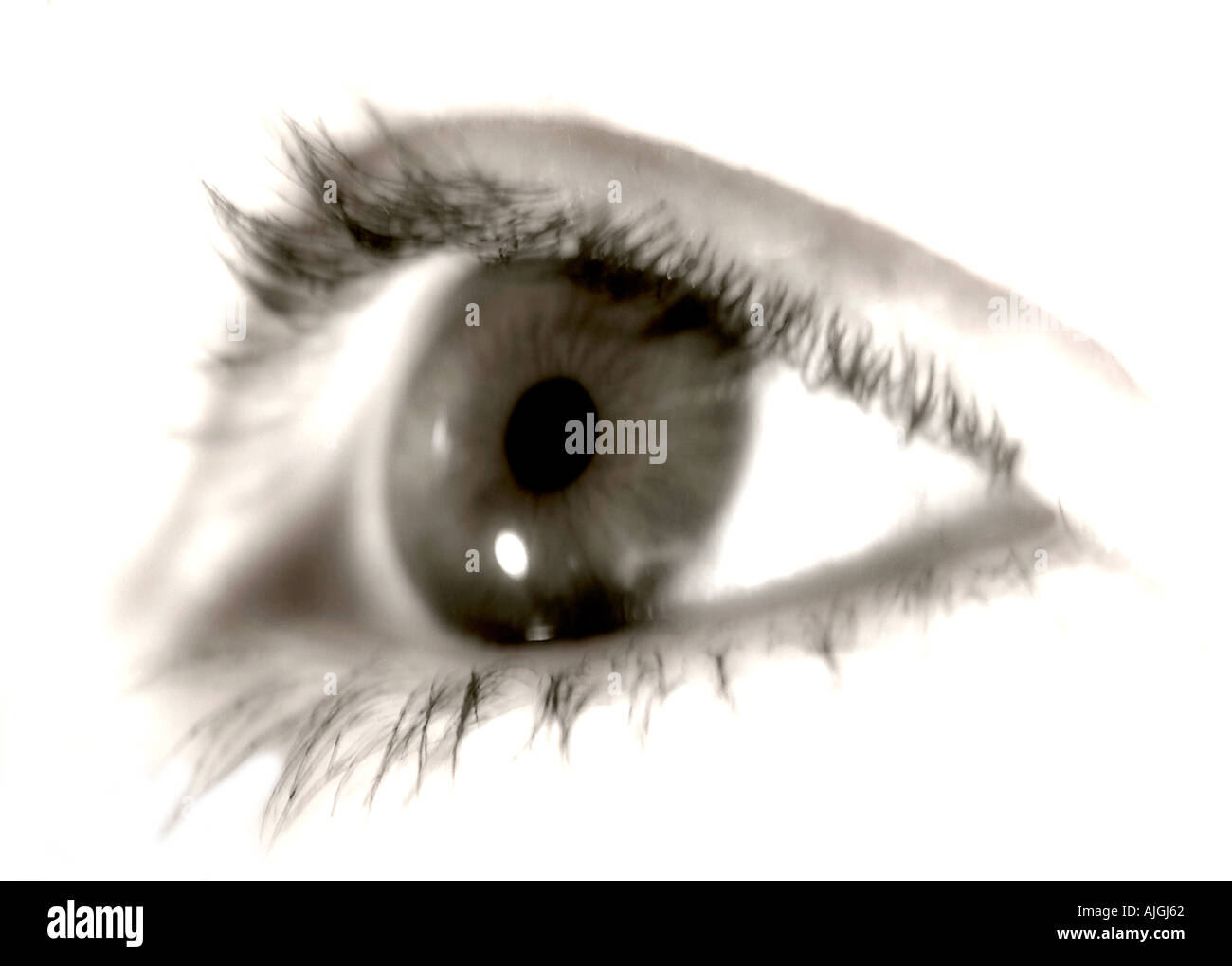 Close up of eye with grey retina Stock Photo - Alamy