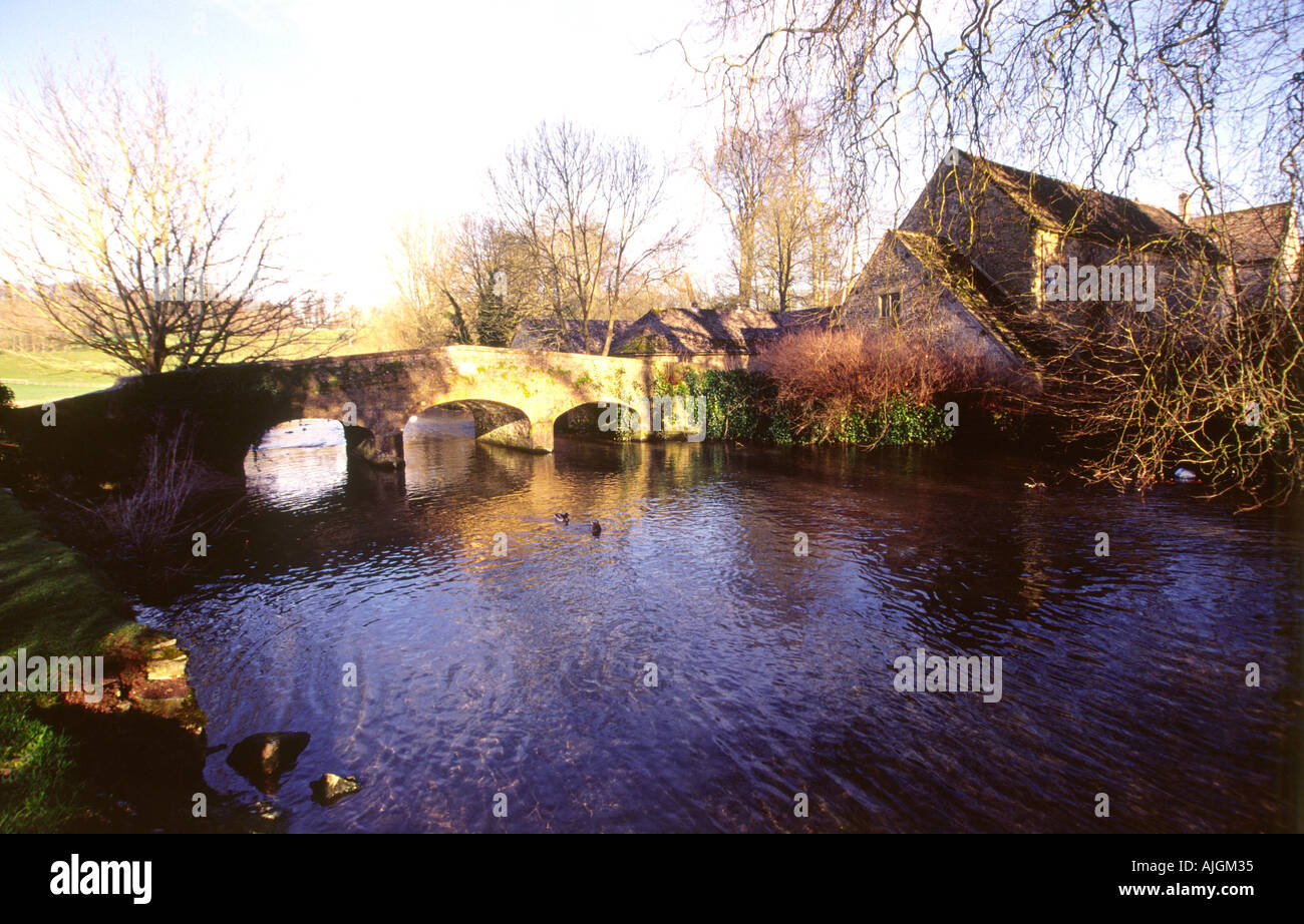 River Coln at Bibury Gloucester Cotswolds England UK Stock Photo - Alamy