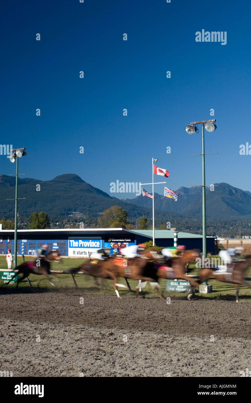 Horseracing at Hastings Racecourse, Vancouver, BC Stock Photo - Alamy