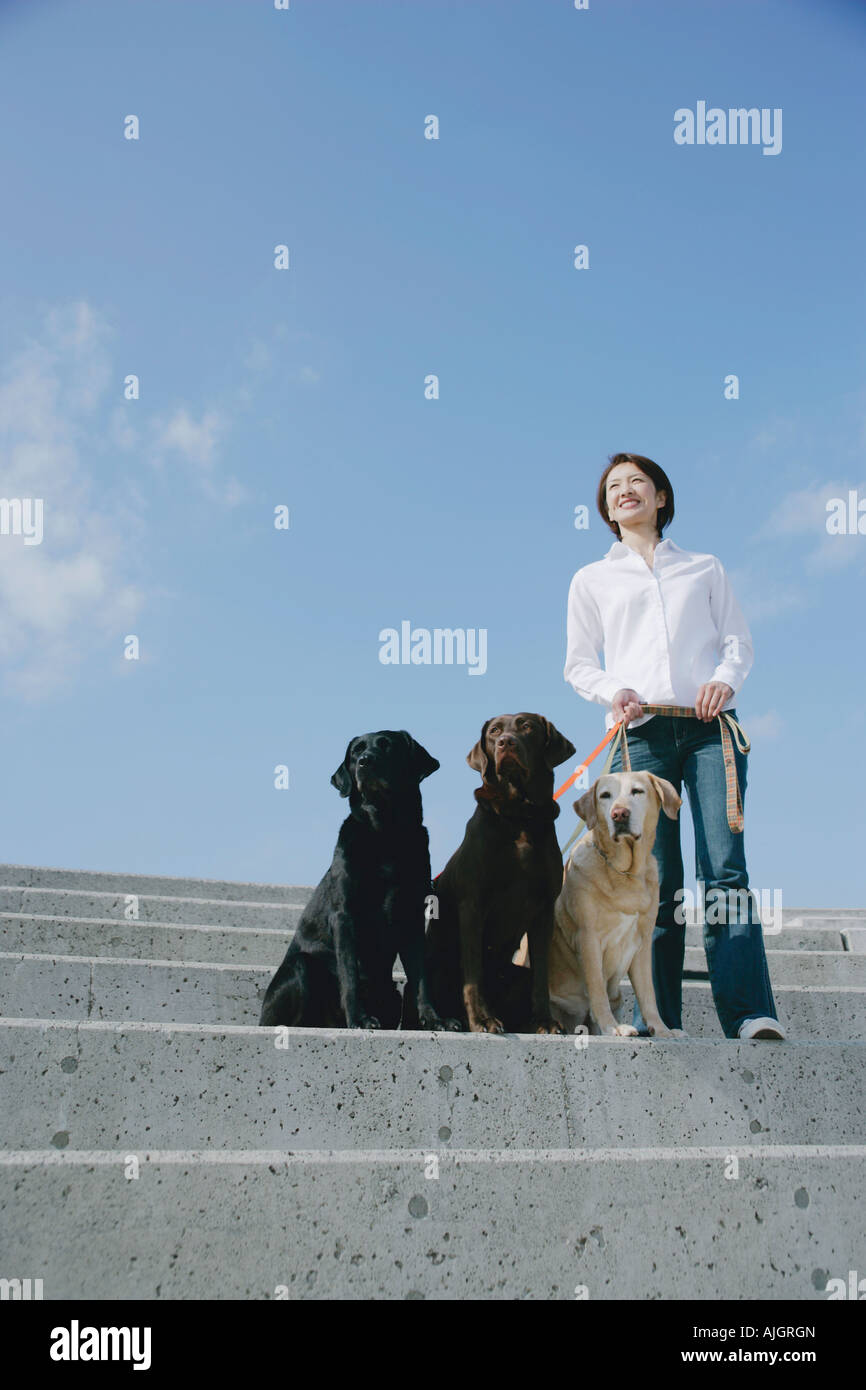 Labrador retrievers hi-res stock photography and images - Alamy