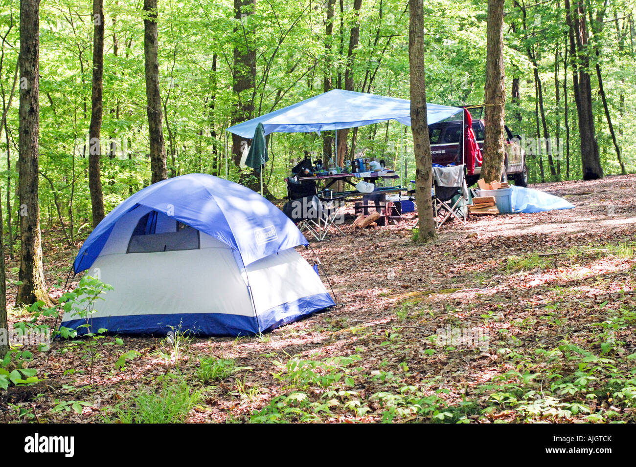 Tents set out in a wooded State Park Camp Ground in Pennsylvania Stock ...