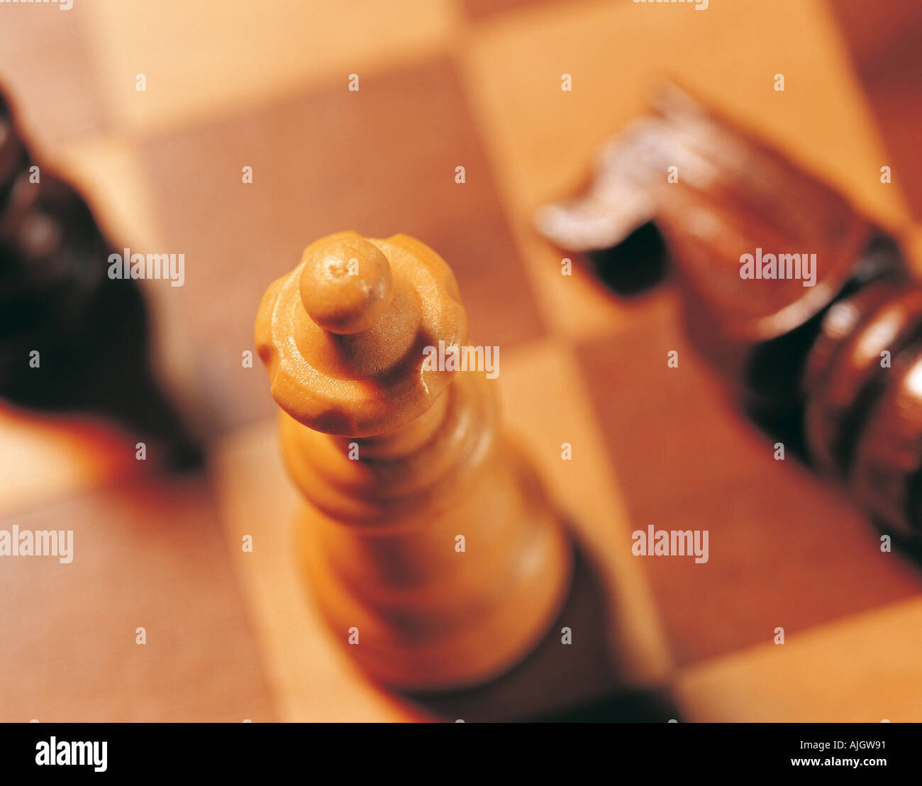 Group photo chess team hi-res stock photography and images - Alamy
