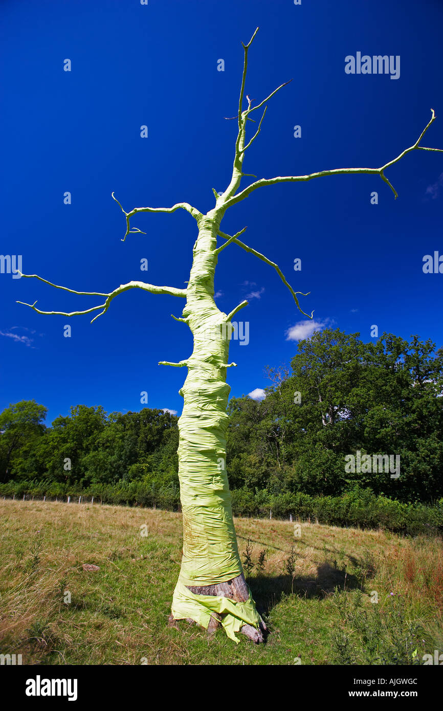 Lime tree in art hi-res stock photography and images - Alamy
