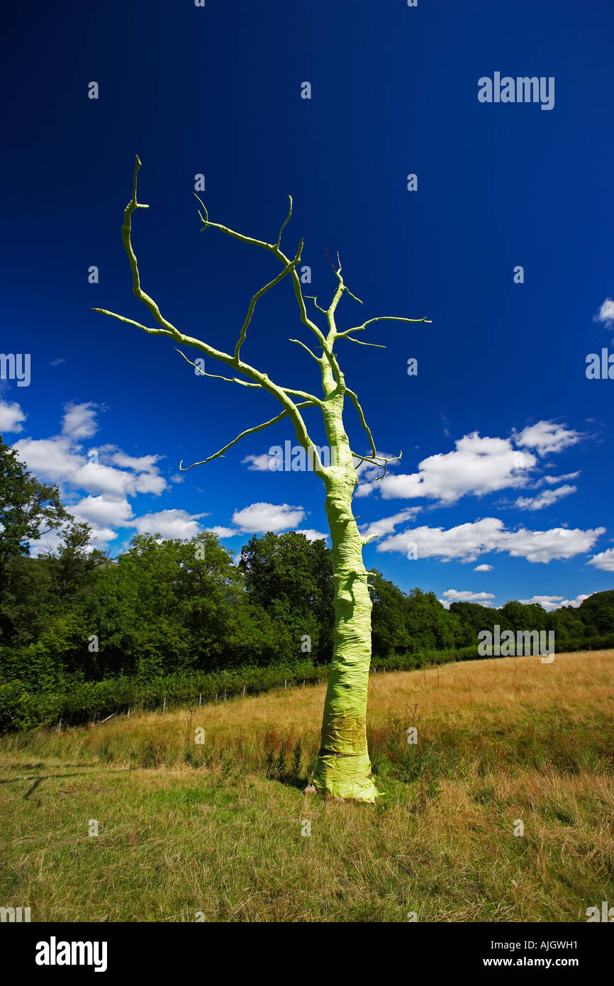Lime tree in art hi-res stock photography and images - Alamy