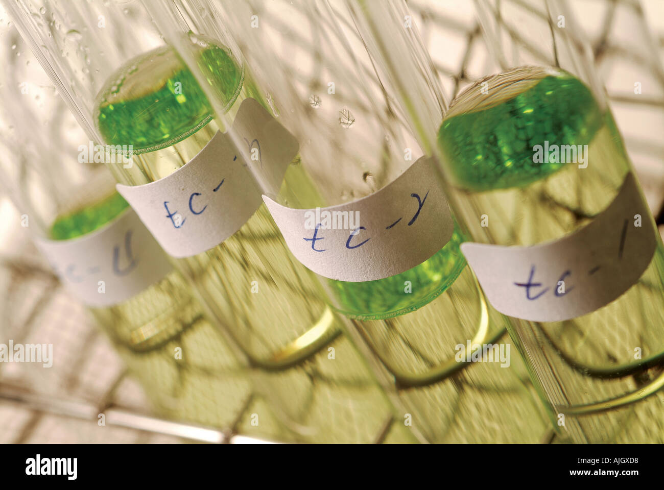 Colour test tubes hi-res stock photography and images - Alamy