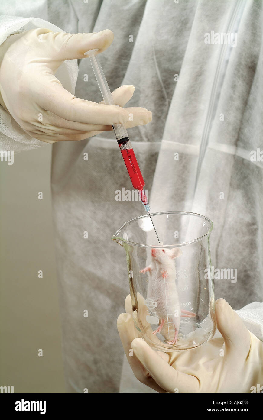 Midsection view of a scientist injecting a mouse Stock Photo - Alamy