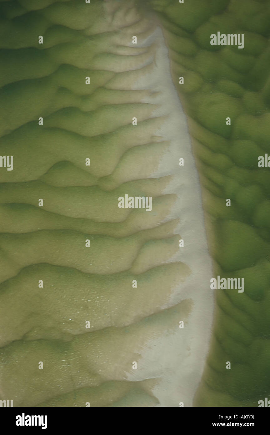 sand ripples under water Stock Photo - Alamy