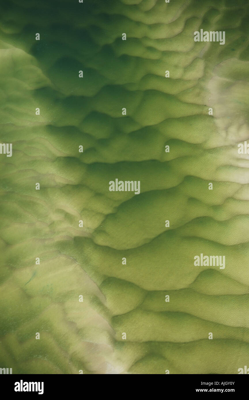 sand ripples under water Stock Photo - Alamy