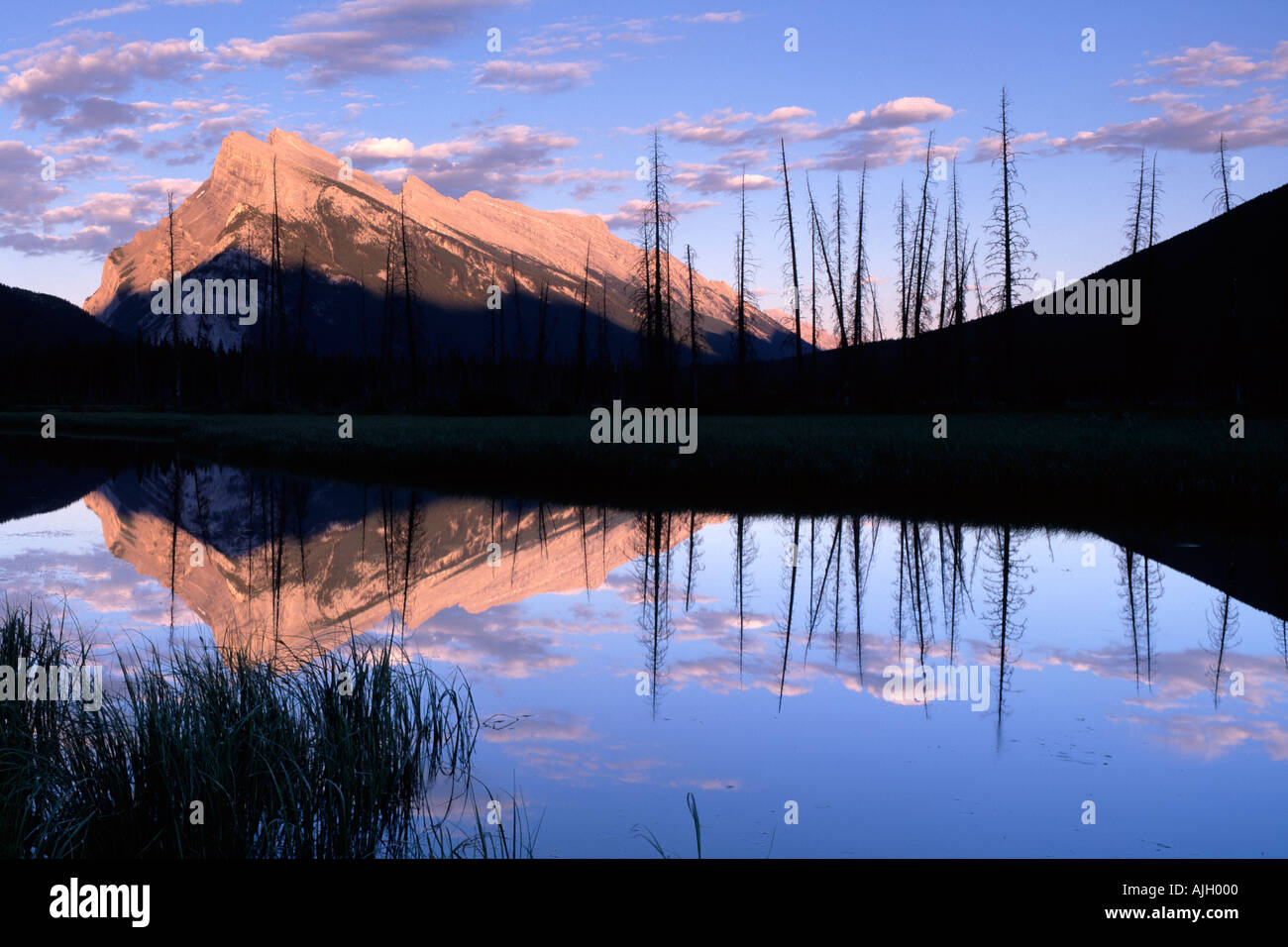 Vermilion Lakes, Banff National Park, Alberta, Canada Stock Photo - Alamy