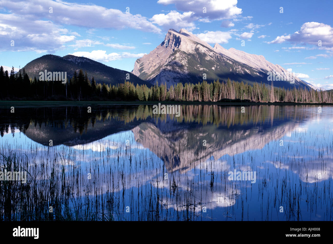 Vermilion Lakes, Banff National Park, Alberta, Canada Stock Photo - Alamy