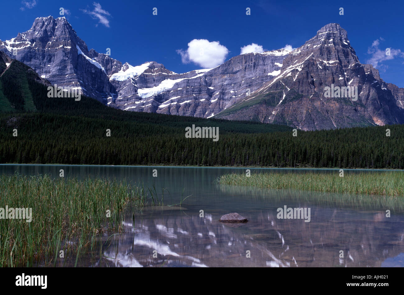 Lake Hector, Banff National Park, Alberta, Canada Stock Photo - Alamy