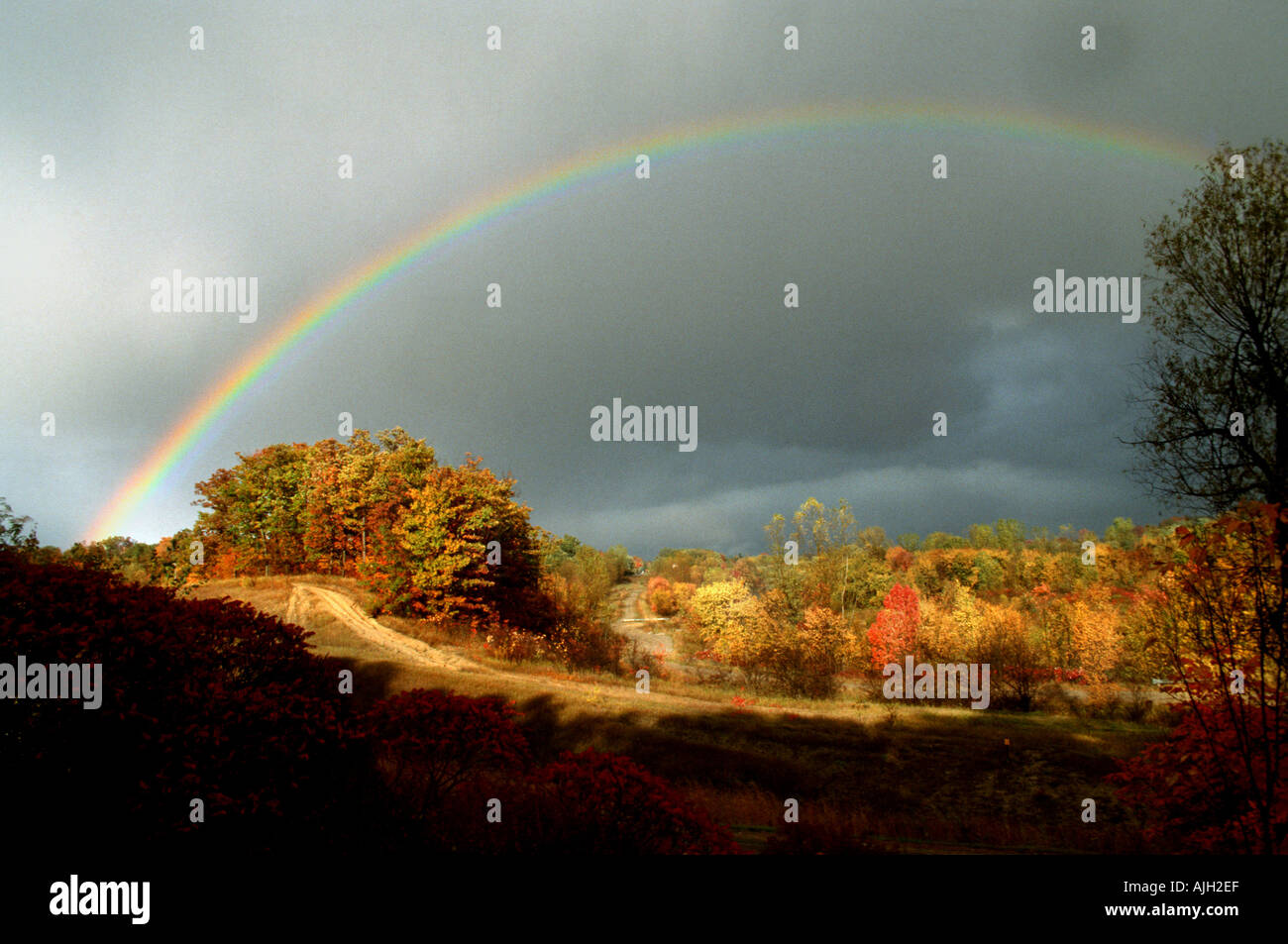 Rainbow follow a rain storm Michigan Stock Photo - Alamy