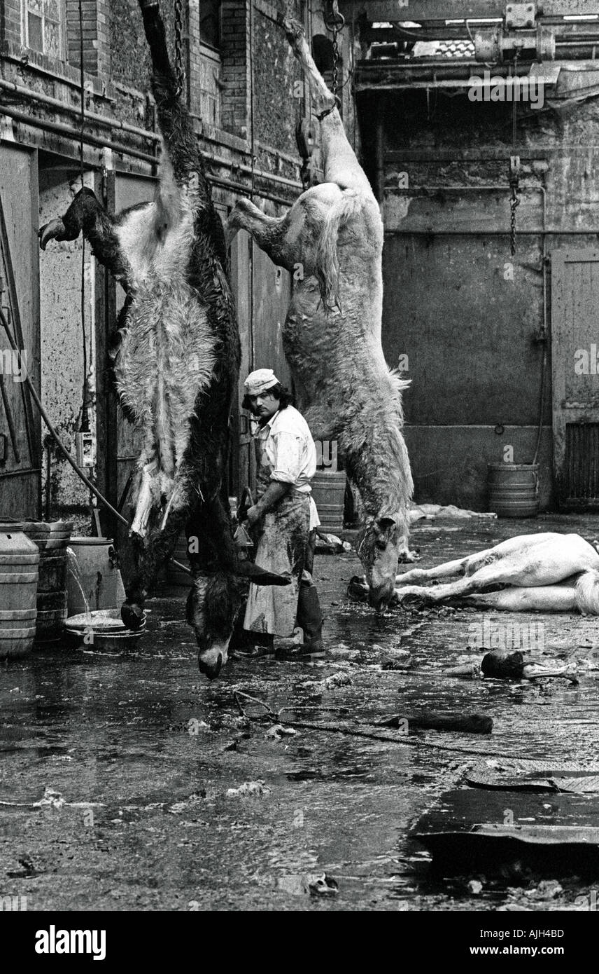FRANCE SLAUGHTERHOUSE PARIS VAUGIRARD IN 1976 Stock Photo - Alamy