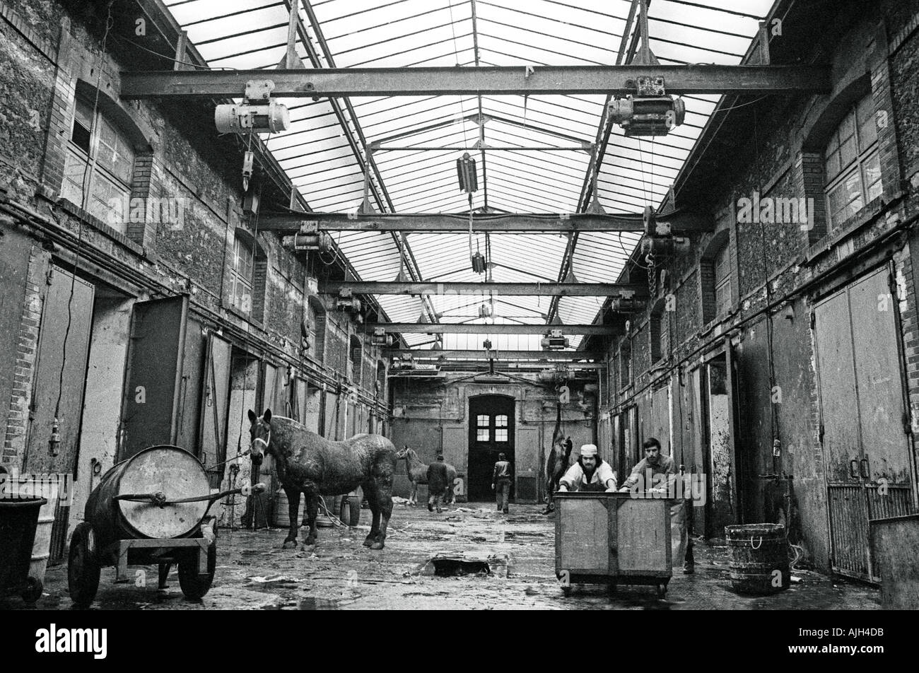 FRANCE SLAUGHTERHOUSE PARIS VAUGIRARD IN 1976 Stock Photo - Alamy