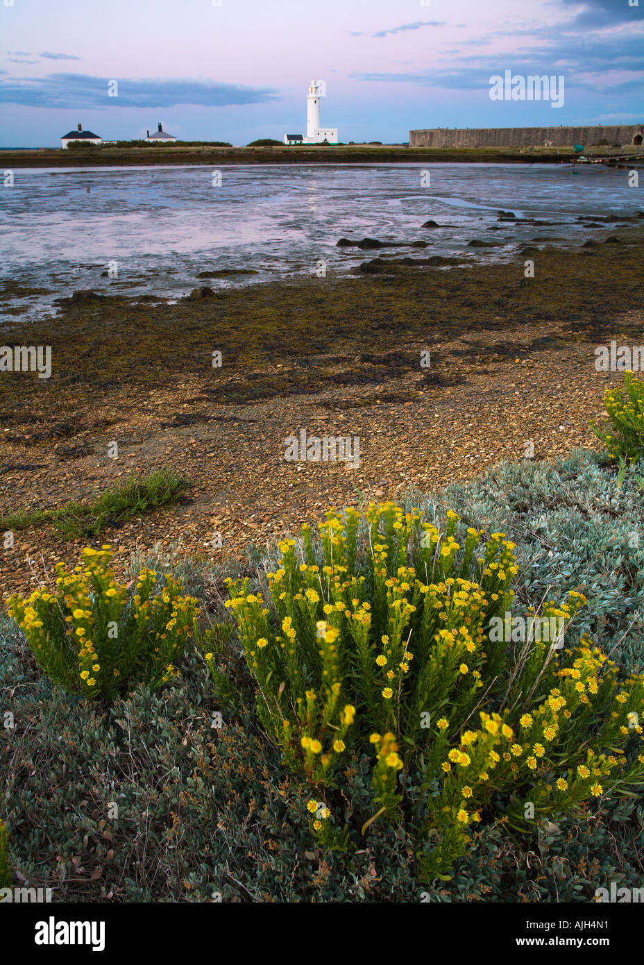 5 spit hi-res stock photography and images - Alamy