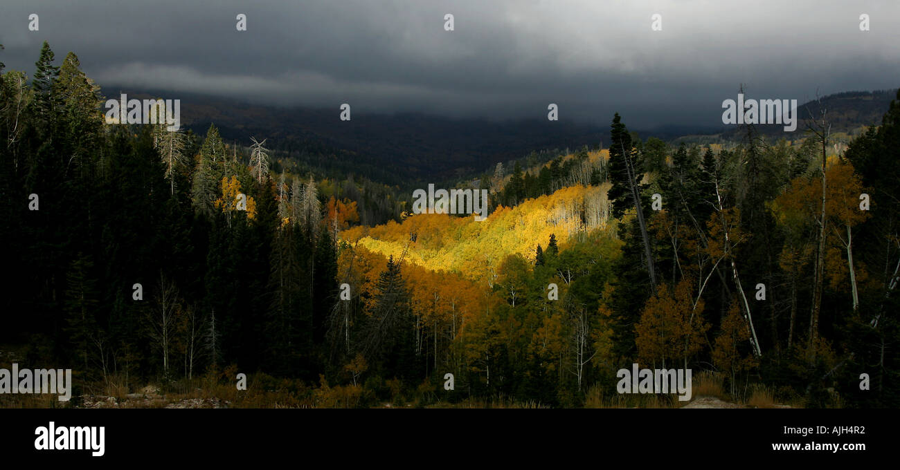 Cedar Breaks National Park in Utah, United States of America Stock ...