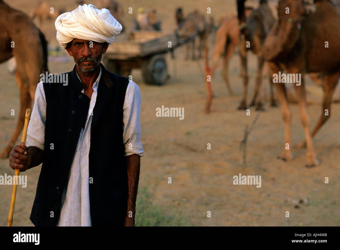 Camel trader, Pushkar Camel Fair, India Stock Photo - Alamy