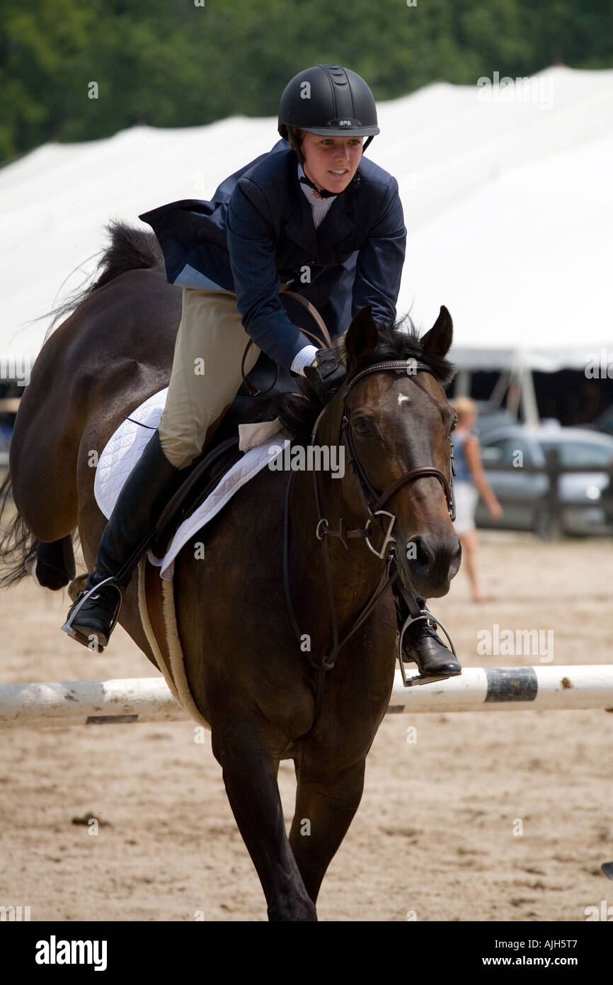 Horse and rider jumping Stock Photo - Alamy