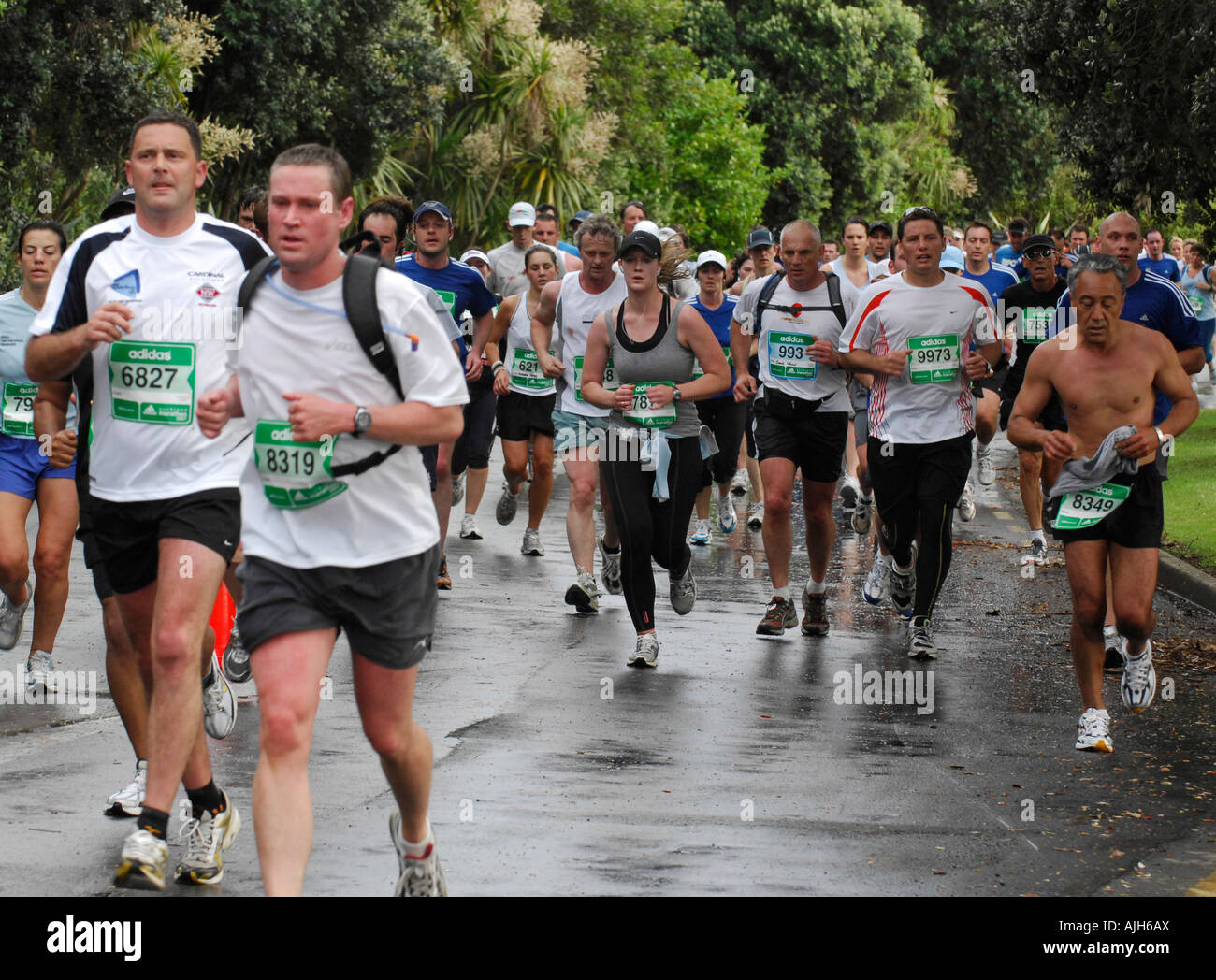 Crowd of runners in the Auckland 2007 Marathon Stock Photo - Alamy